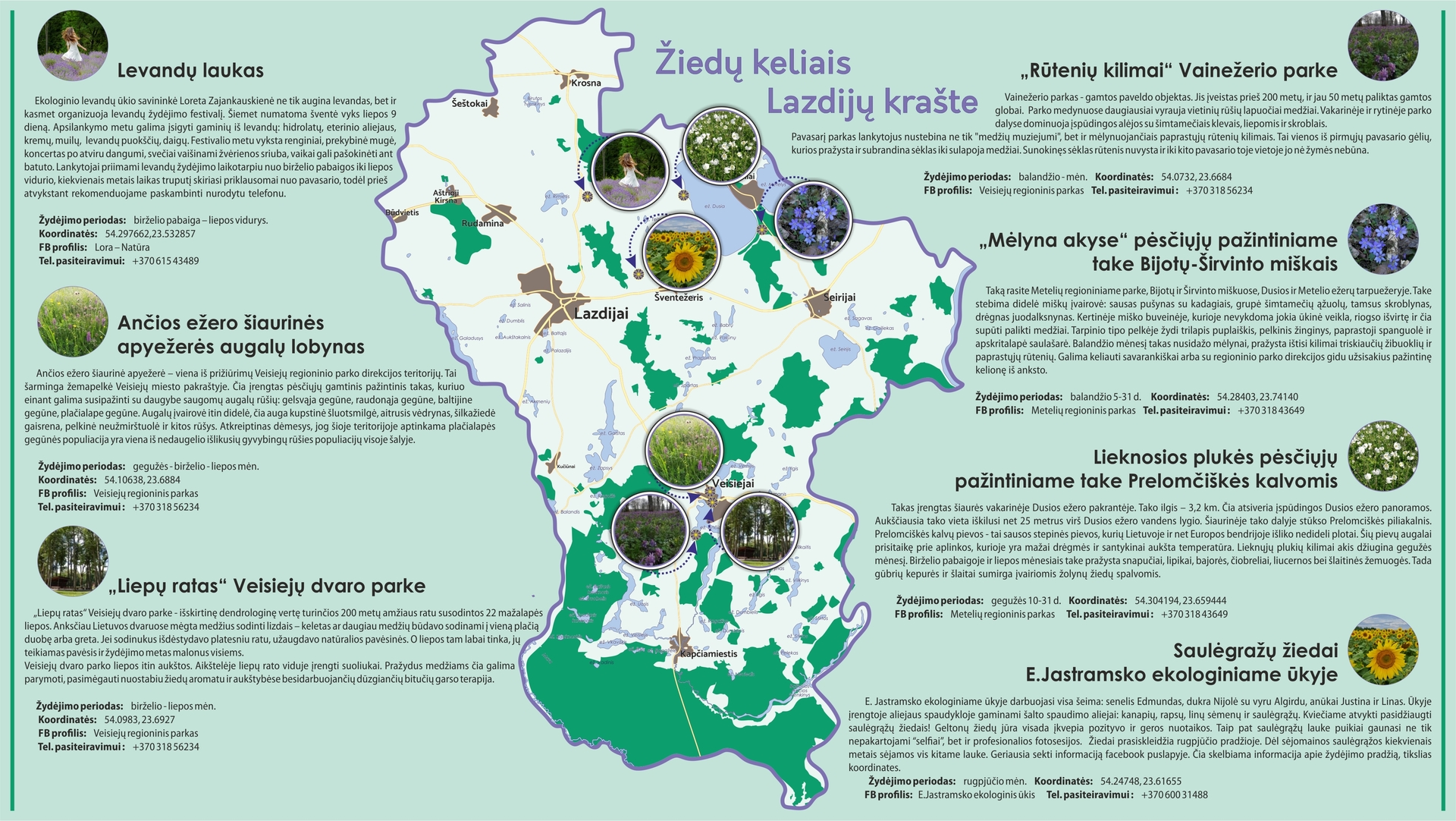 Virtual map of Ring Roads in Lazdijai region