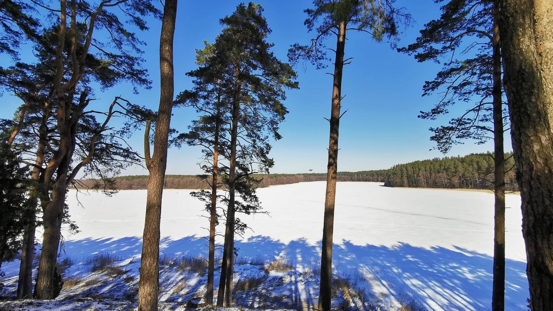 Lazdijų turizmo informacinis centras